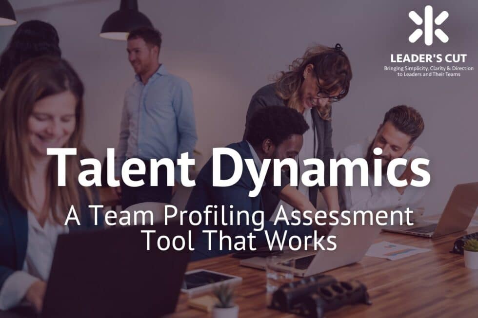 Talent Dynamics Team Profiling Assessment Tool - Leader's Cut