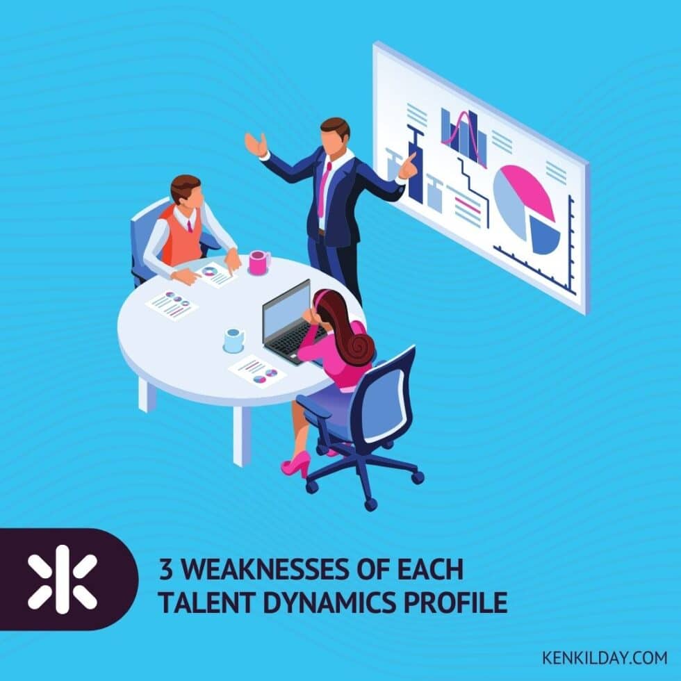 3 Talent Dynamics Profile Strengths & Weaknesses - Leader's Cut